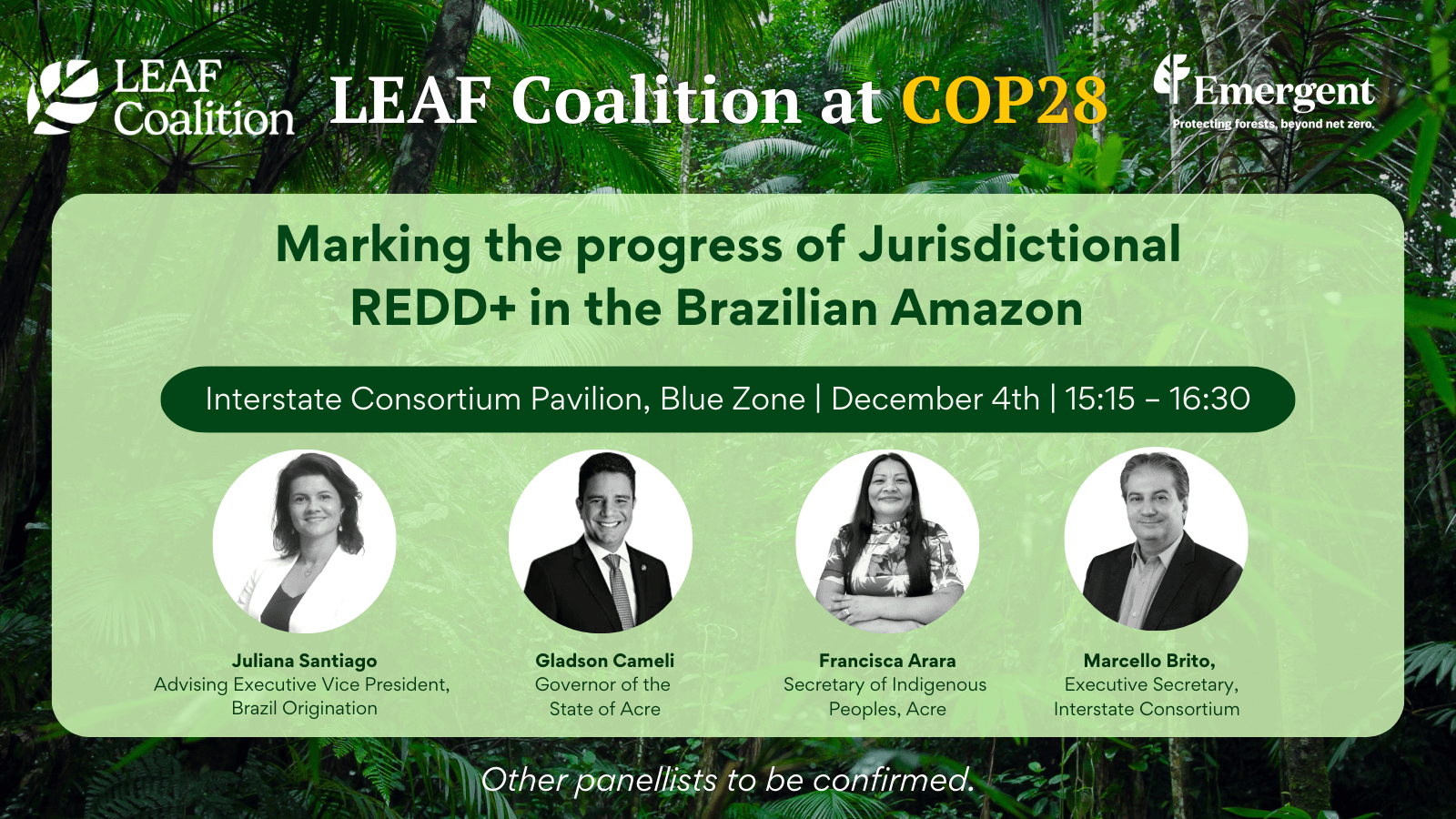 The LEAF Coalition at COP28